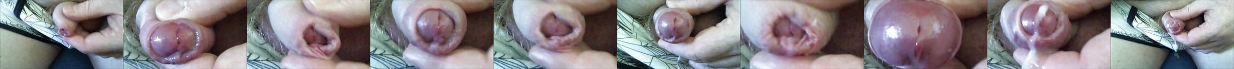 Chubby Guy Jacks His Shaved Small Cock, Free Gay Porn 8a | xHamster